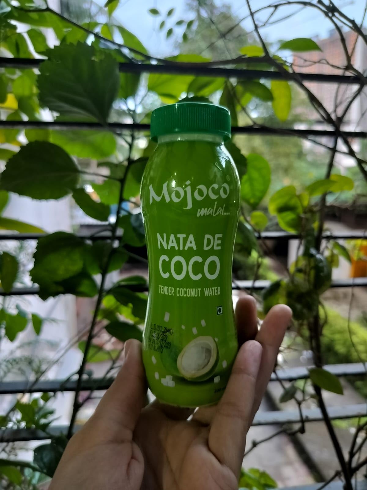 MOJOCO Coconut Water With Vital Minerals, No Artificial Colours ...