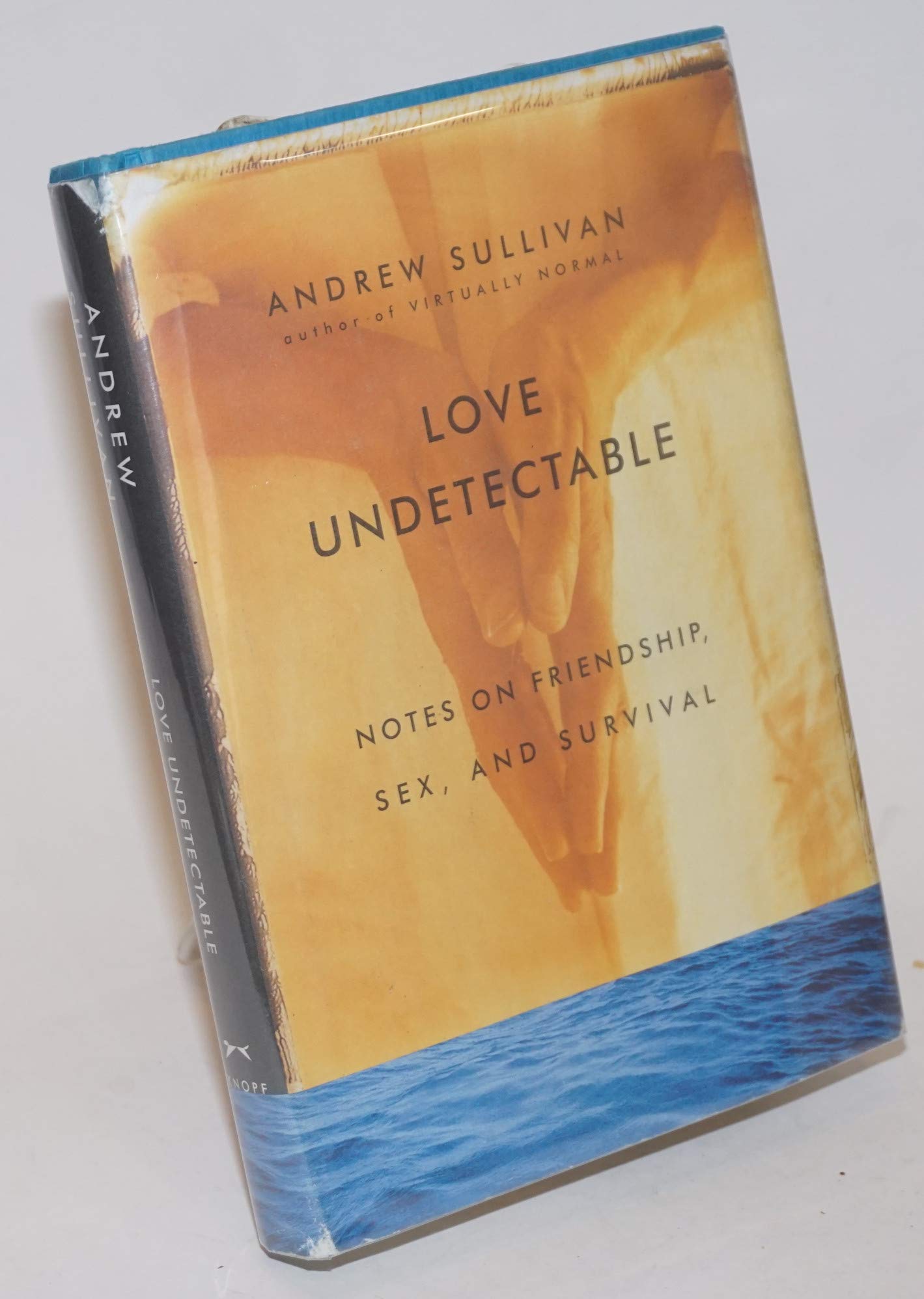 Love Undetectable: Notes on Friendship, Sex, and Survival: Sullivan ...