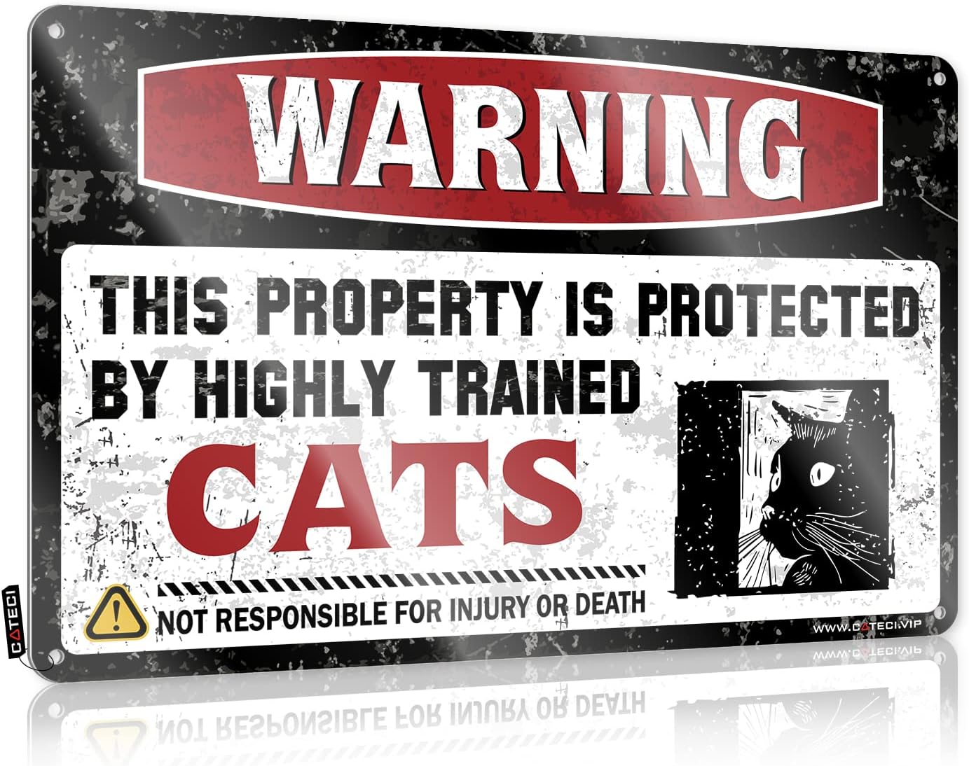 Amazon.com: Bigtime Signs Cat Sign - Beware of Cats - Cat Decor Funny ...