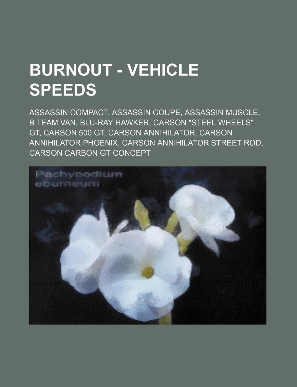 Amazon.co.jp: Burnout - Vehicle Speeds: Assassin Compact, Assassin ...