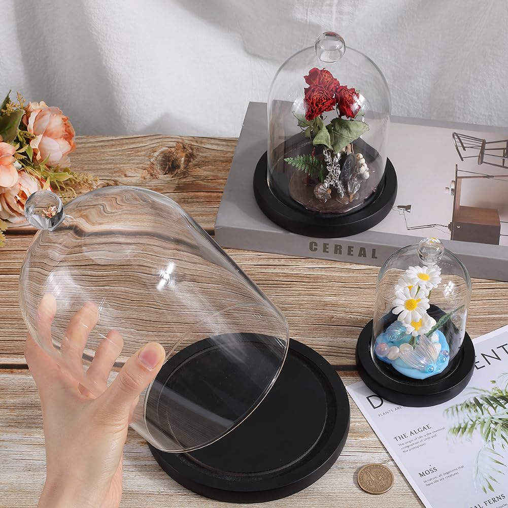 Glass Bell Jar Wedding Extra Large Handmade Fairy Tale Enchanted Red