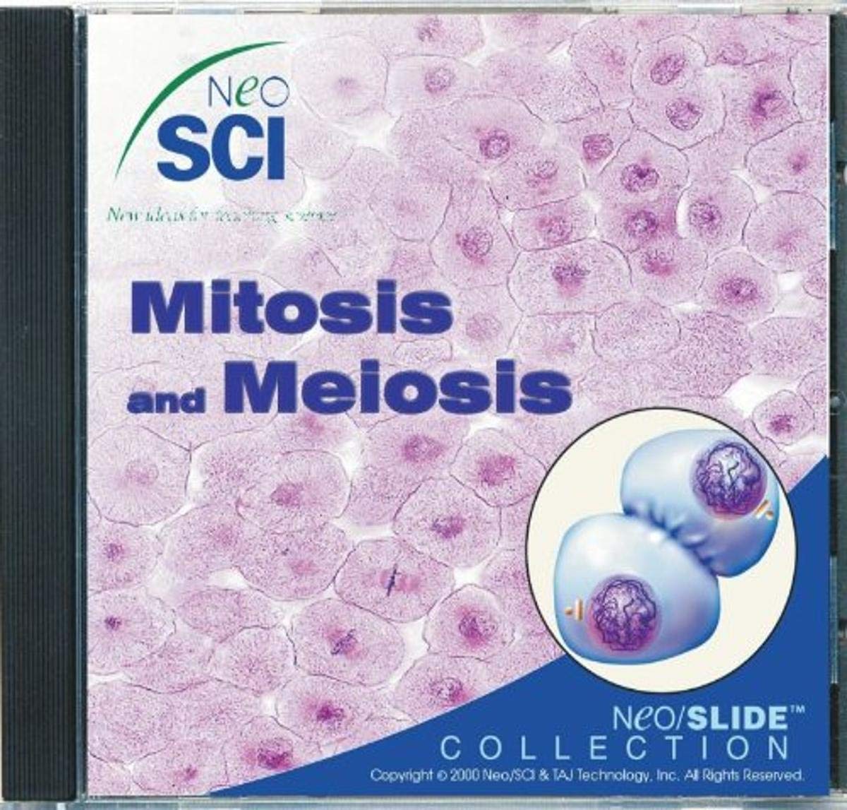 Animal Cell Mitosis Slides
