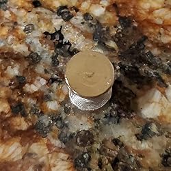 Amazon.com: Open Back Chicago Screws Solid Belt Tack Screw Post ...