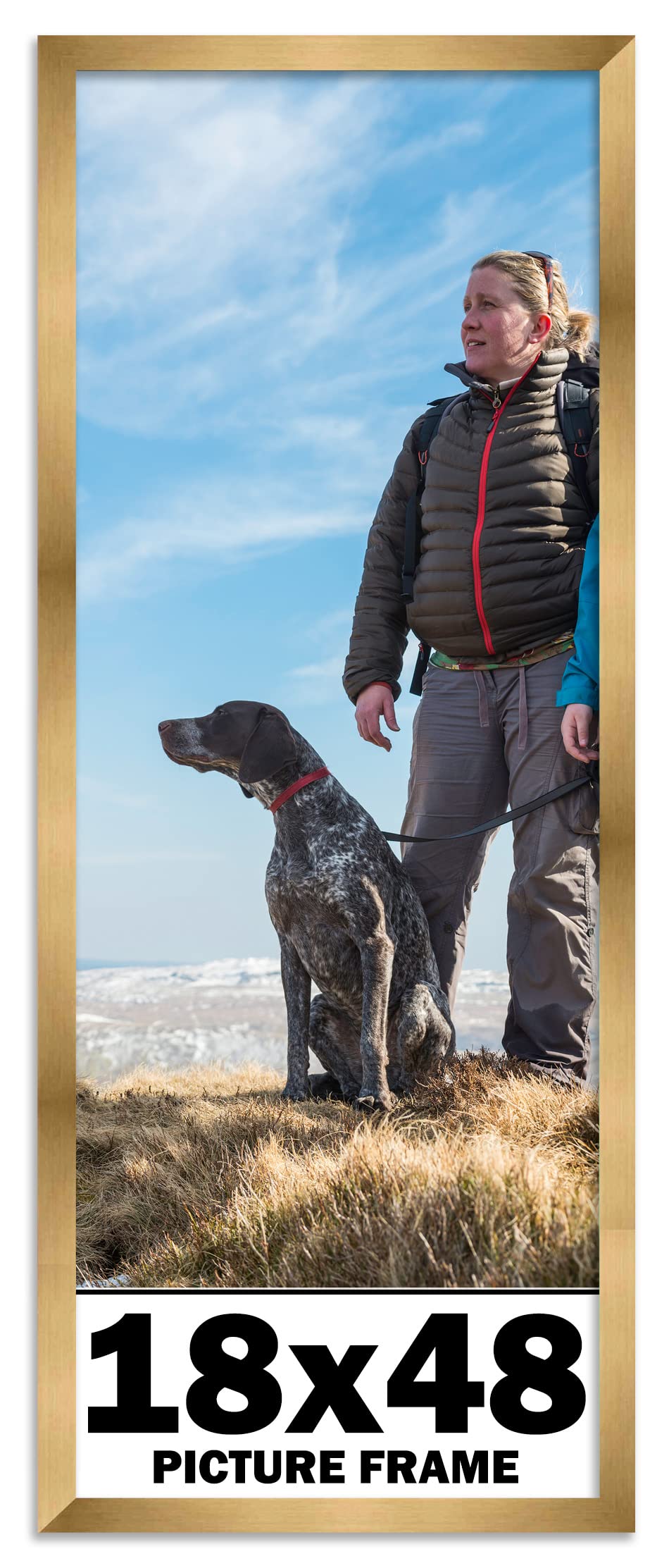 Amazon.com - CountryArtHouse 18x48 Frame Gold Bronze Modern Solid Wood ...