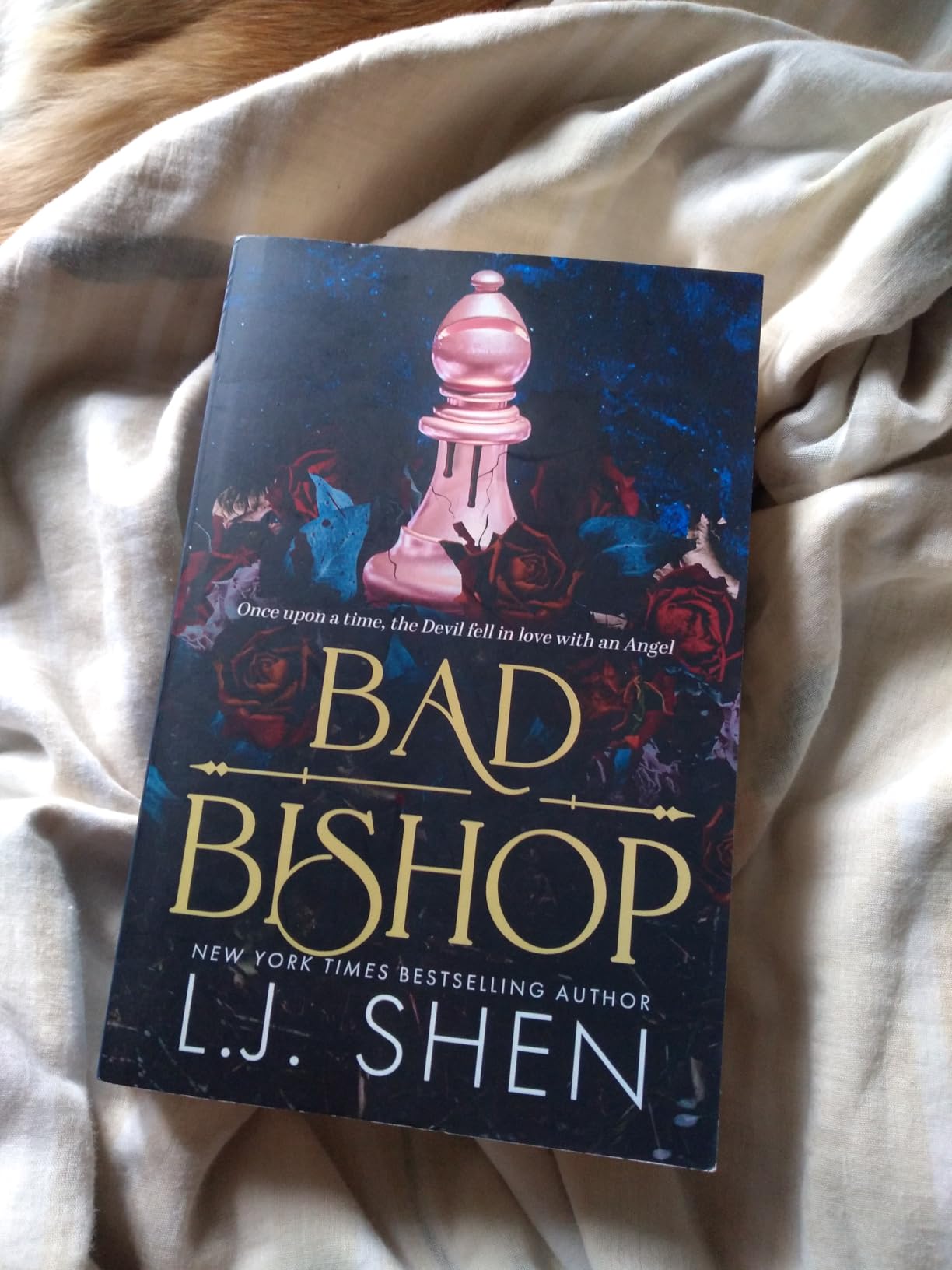 Bad Bishop: 1 (Society of Villains, 1) : Shen, L.j.: Amazon.in: Books