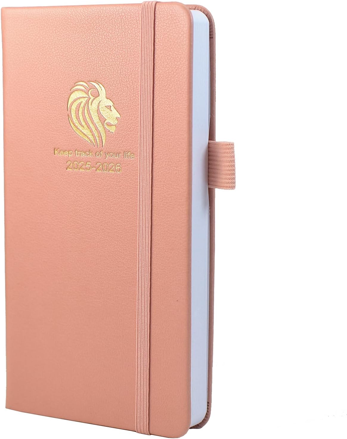 Diary 2025-2026 - 18 Month Diary from Jan. 2025 to Mid Year Jun.2026 ...