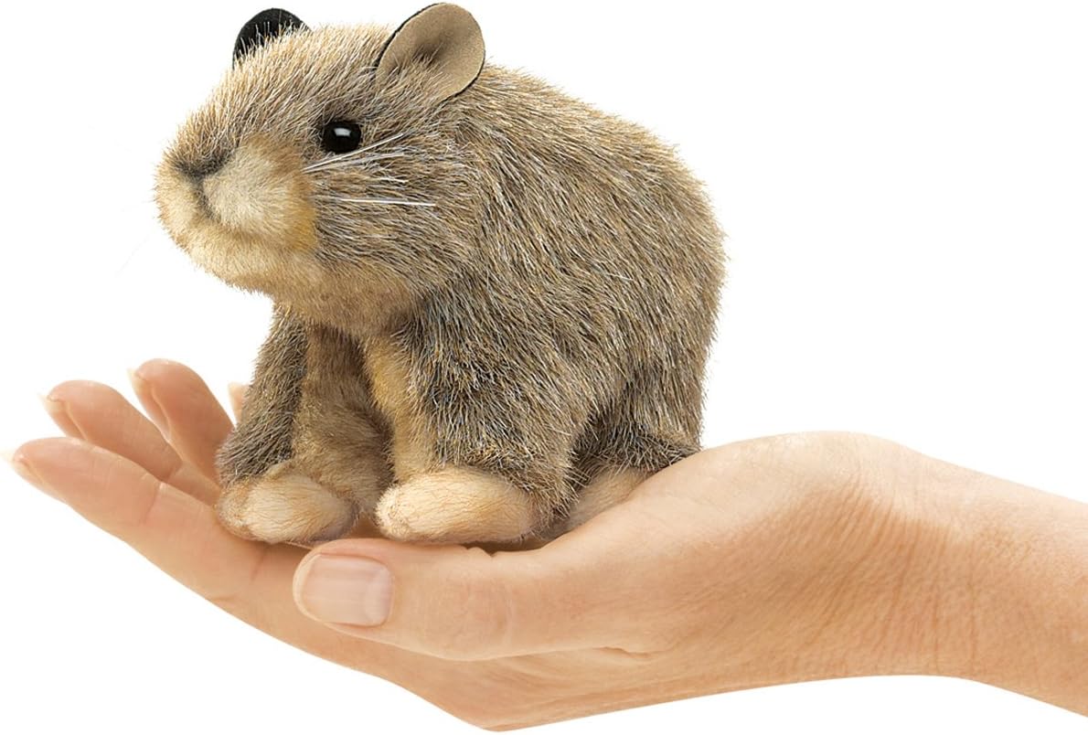 Amazon.com: Folkmanis Mini Pika Finger Puppet : Toys & Games