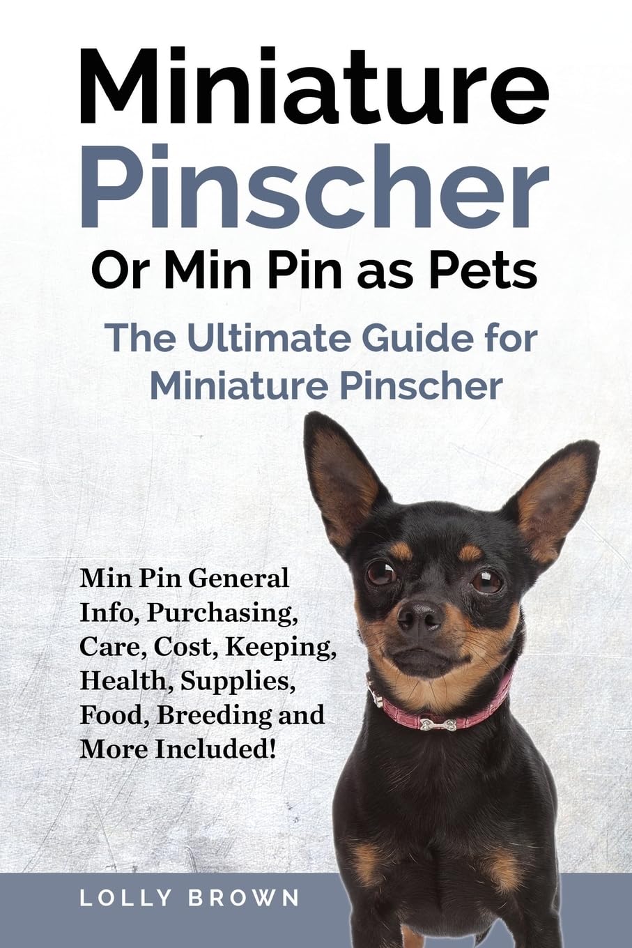 Miniature Pinscher Or Min Pin as Pets: Min Pin General Info, Purchasing ...