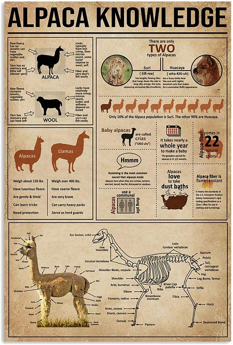 Amazon.com: Alpaca Knowledge Metal Tin Signs Alpaca Information Retro ...