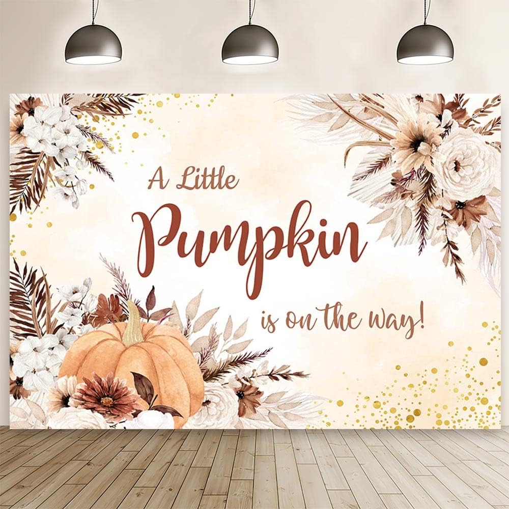 Amazon.com : MEHOFOND Fall Boho Baby Backdrop - Little Pumpkin is on ...