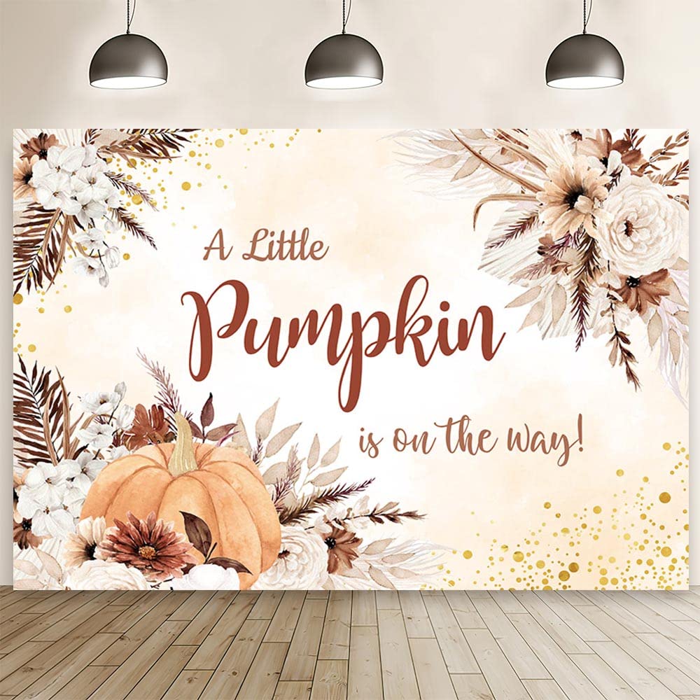 Amazon.com : MEHOFOND Fall Boho Baby Shower Backdrop a Little Pumpkin ...