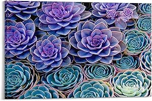 Amazon.com: Cute Succulent Poster Succulent Boho Wall Decor Green ...