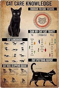 Amazon.com: Cat Care Knowledge Metal Tin Signs Human To Cat Years ...
