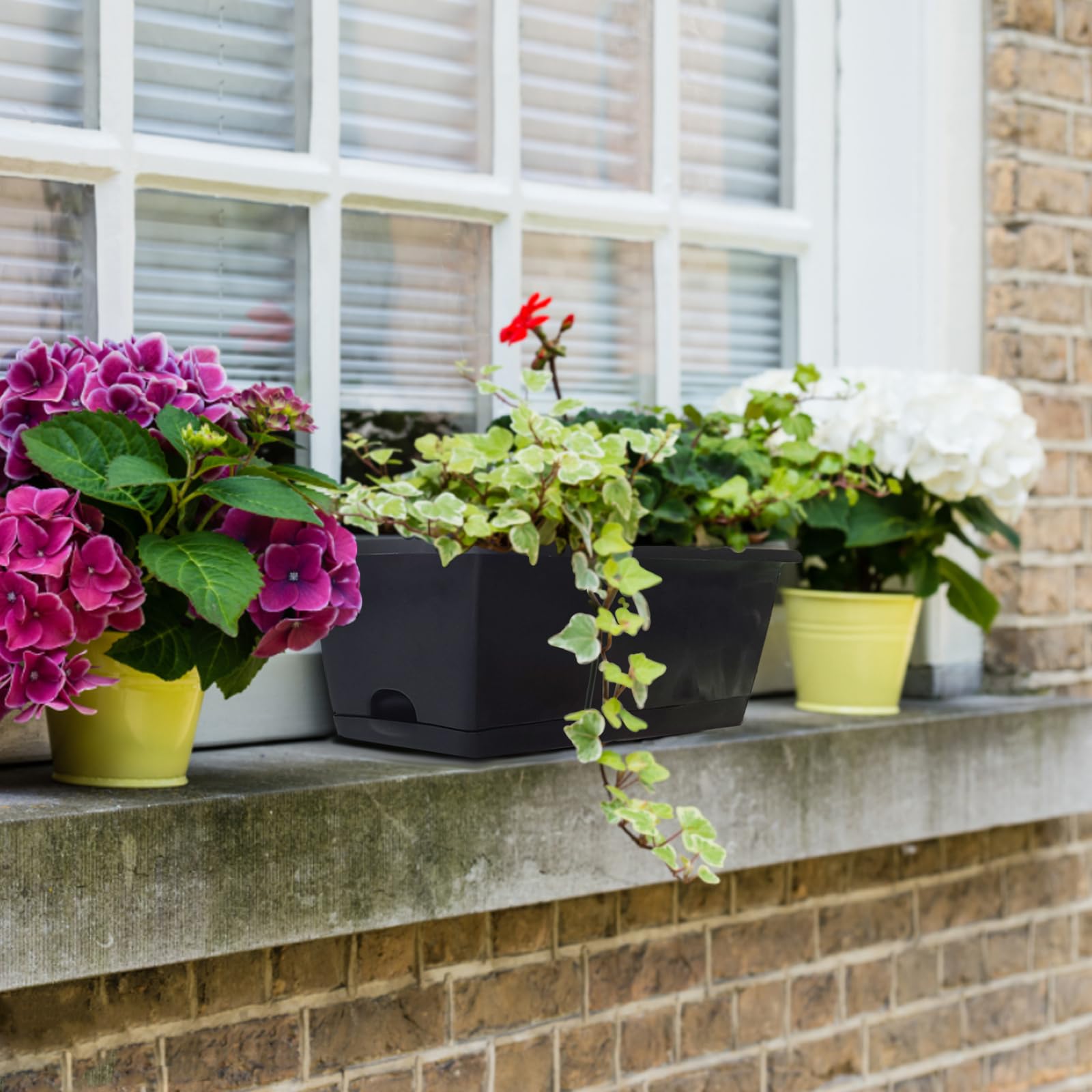 Flower Planters Under Window White Pink And Purple Flower Boxes The
