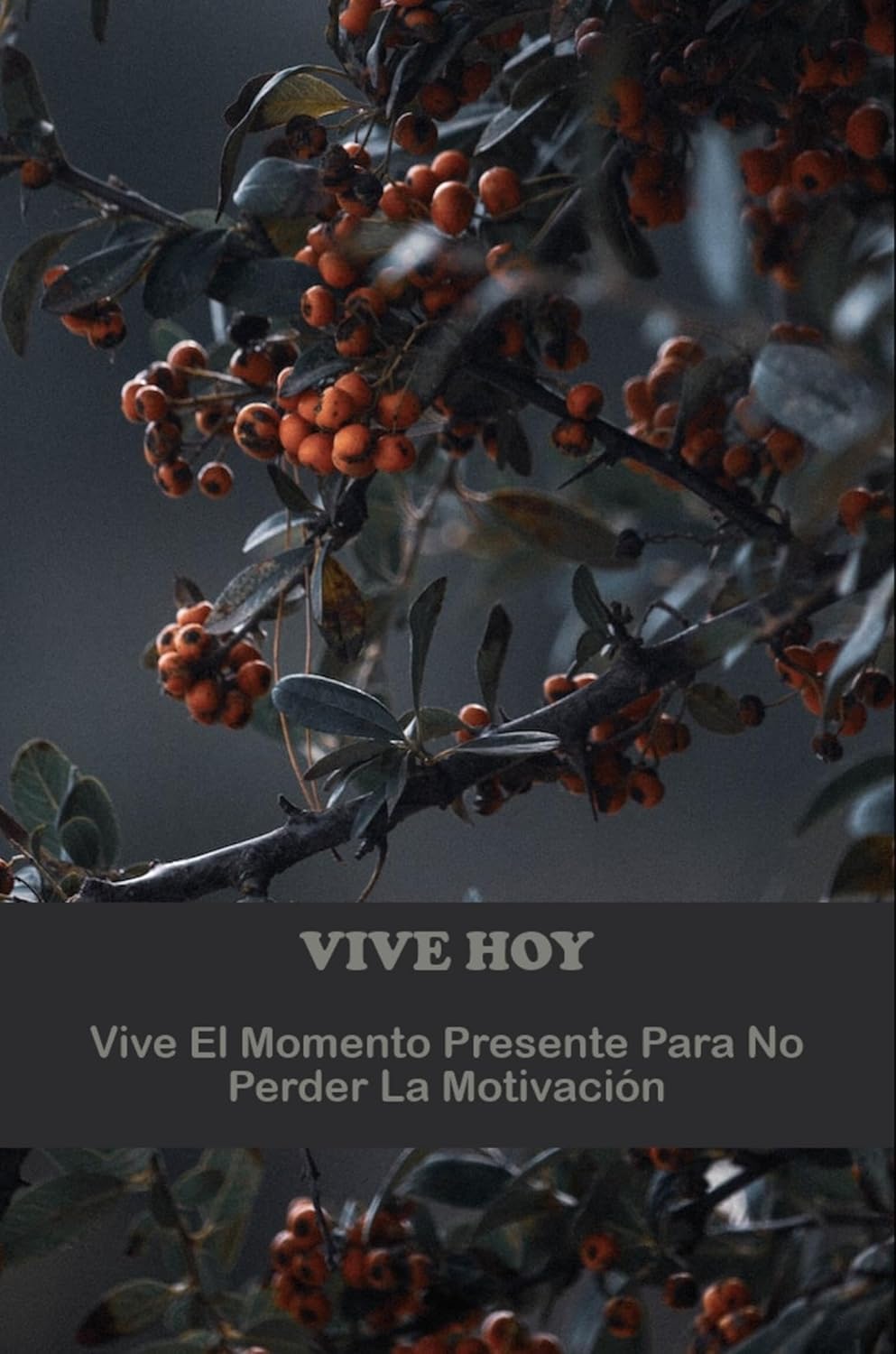 Amazon.com: Vive Hoy: Vive El Momento Presente Para No Perder La ...