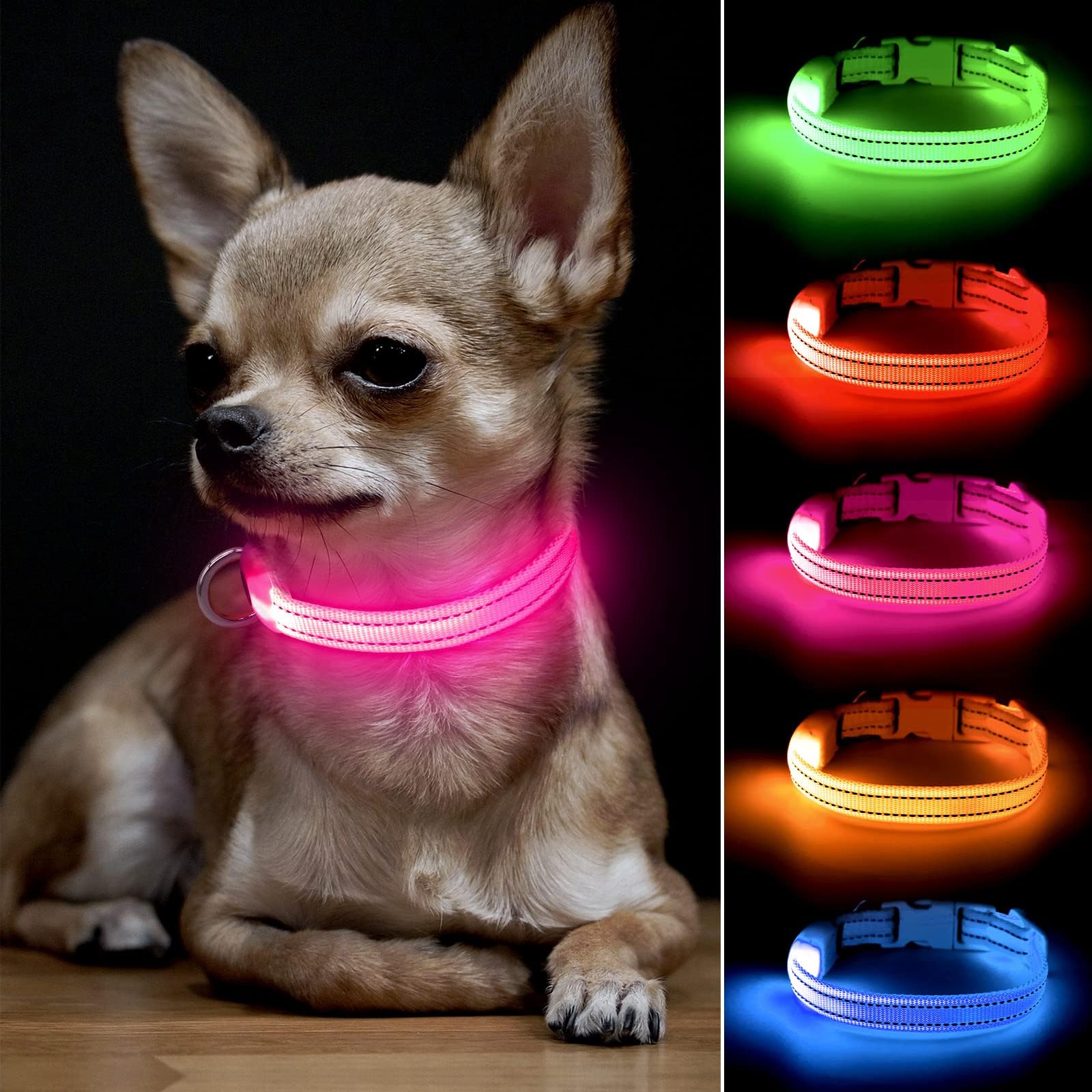 Amazon.com : Novkin 2-Pack LED Dog Collar, Light Up Dog Collars ...