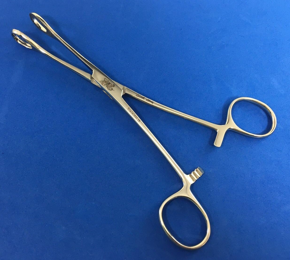 Amazon.com: Body Piercing Sponge Forceps Unslotted 7" Surgical ...