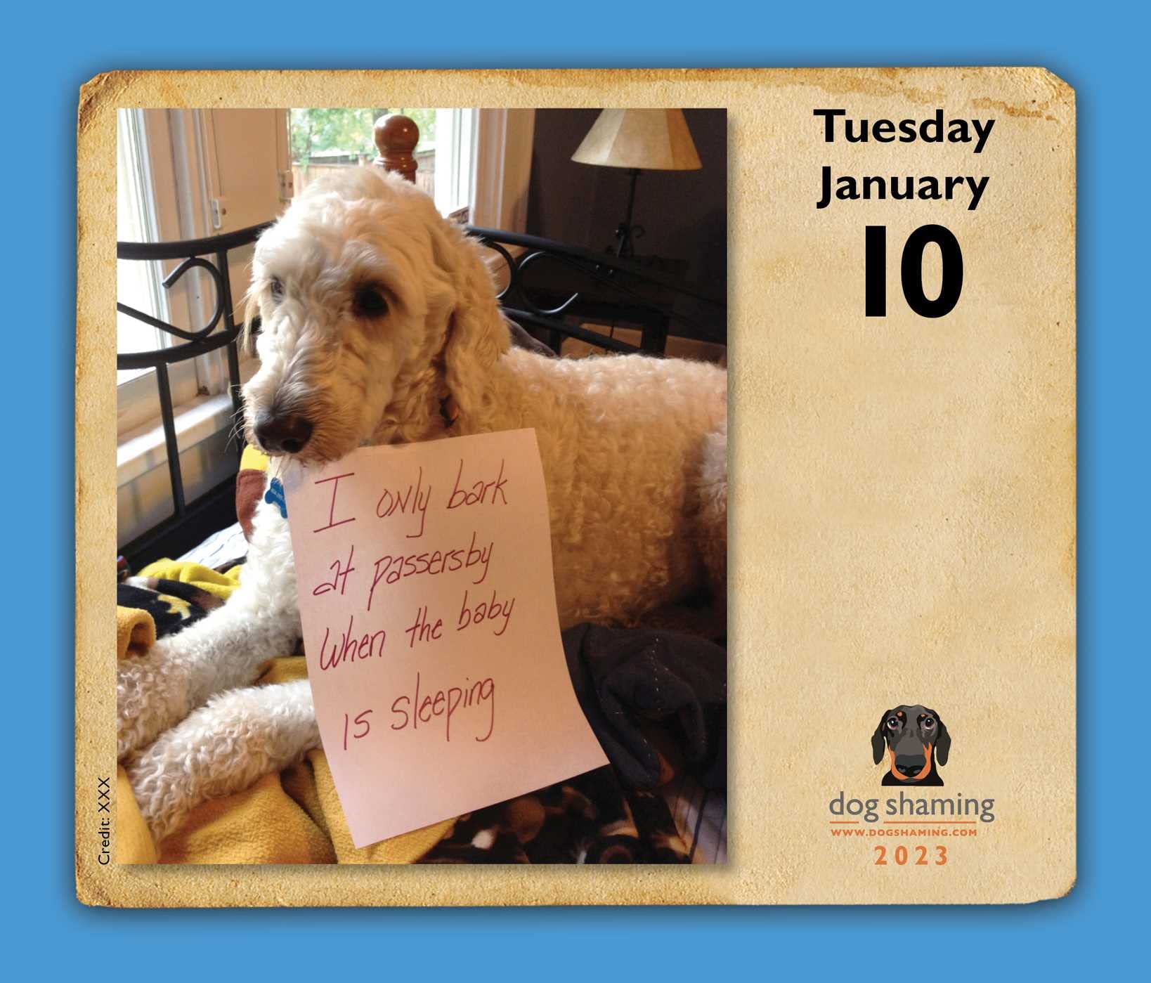 Dog Shaming Calendar 2025