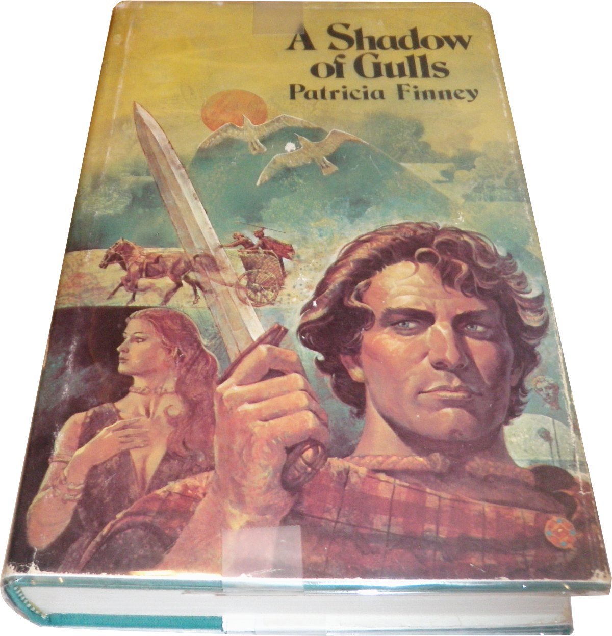 A Shadow of Gulls: Finney Patricia: 9780399119798: Amazon.com: Books