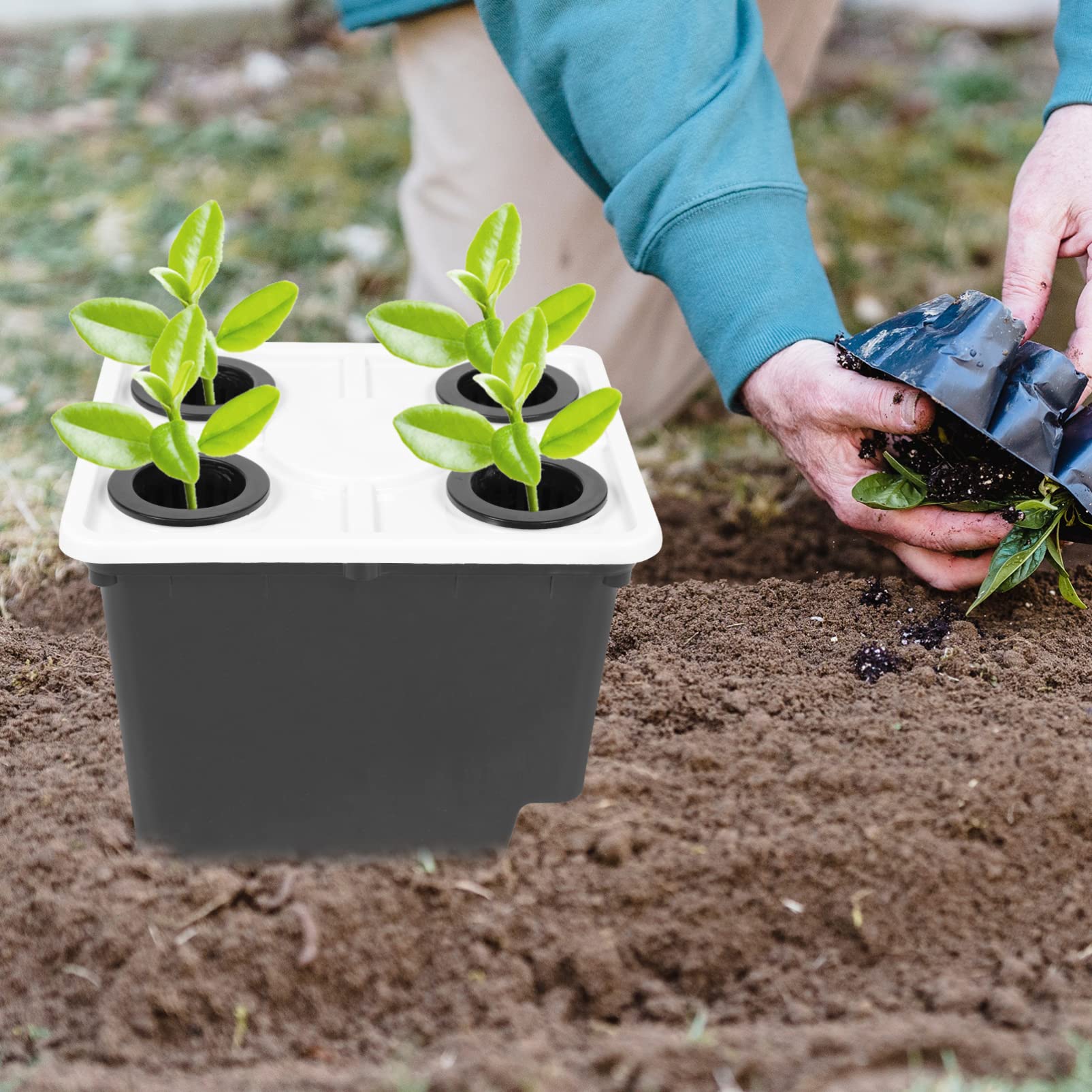 Hydroponics Container Tree Hydroponic Tier 40 Hole Vertical Temu