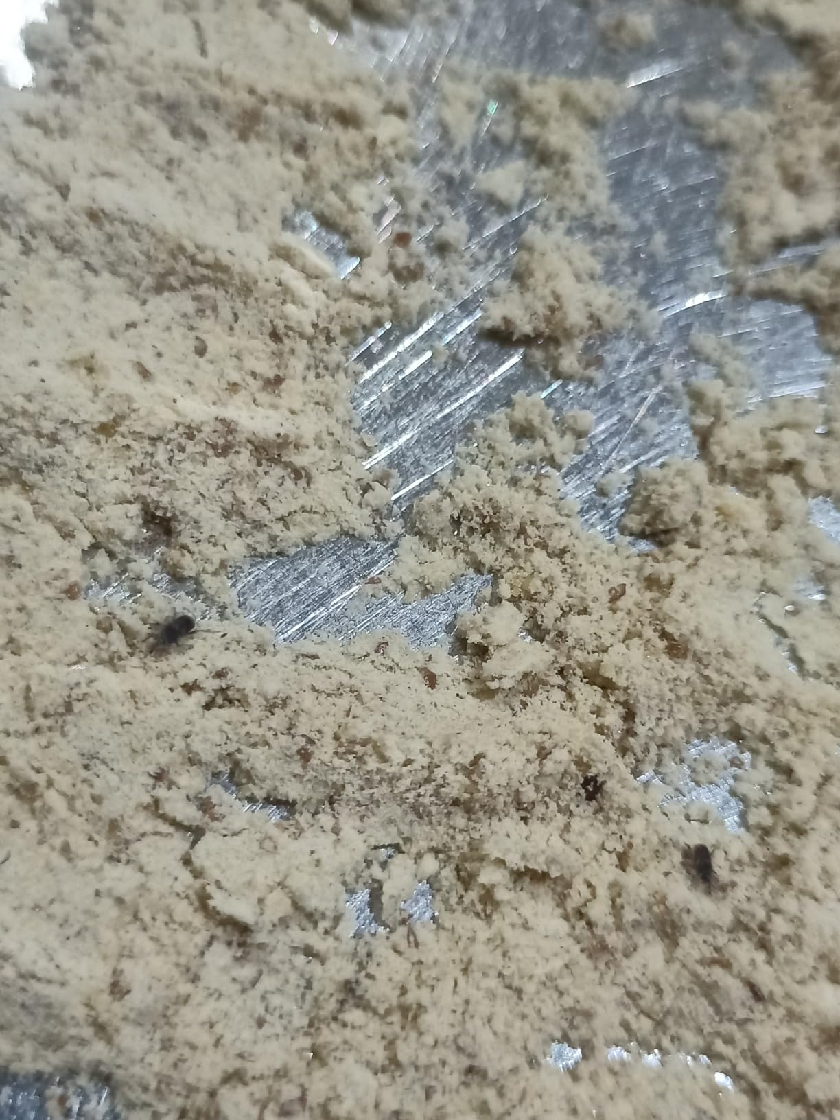 NutroActive Keto Atta Net Carb (3g Net Carb Per Roti) Extremely Low ...