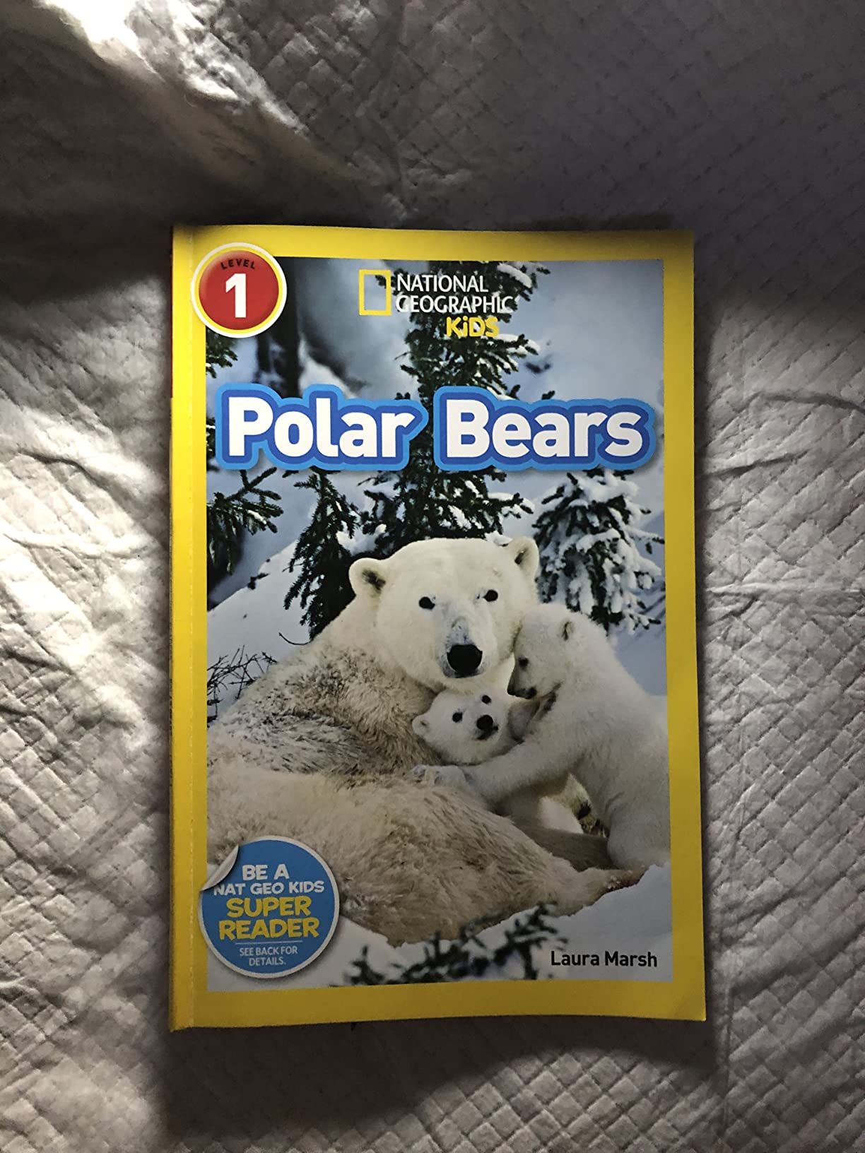 Amazon.com: Polar Bears (National Geographic) (Readers): 9781663627827 ...