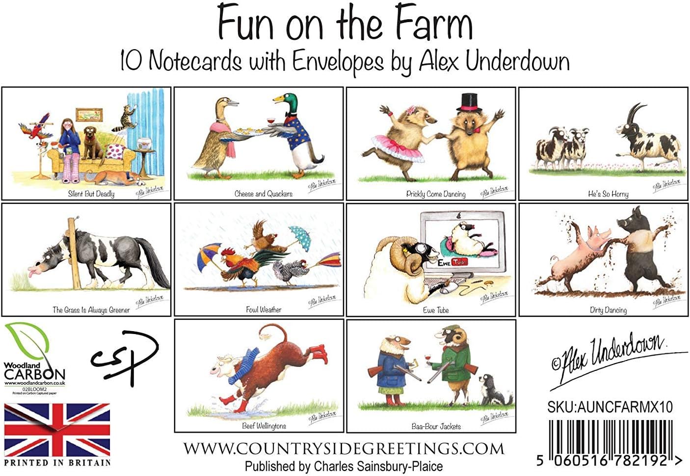 10 notecards with envelopes. Fun on the Farm by Alex Underdown – BigaMart