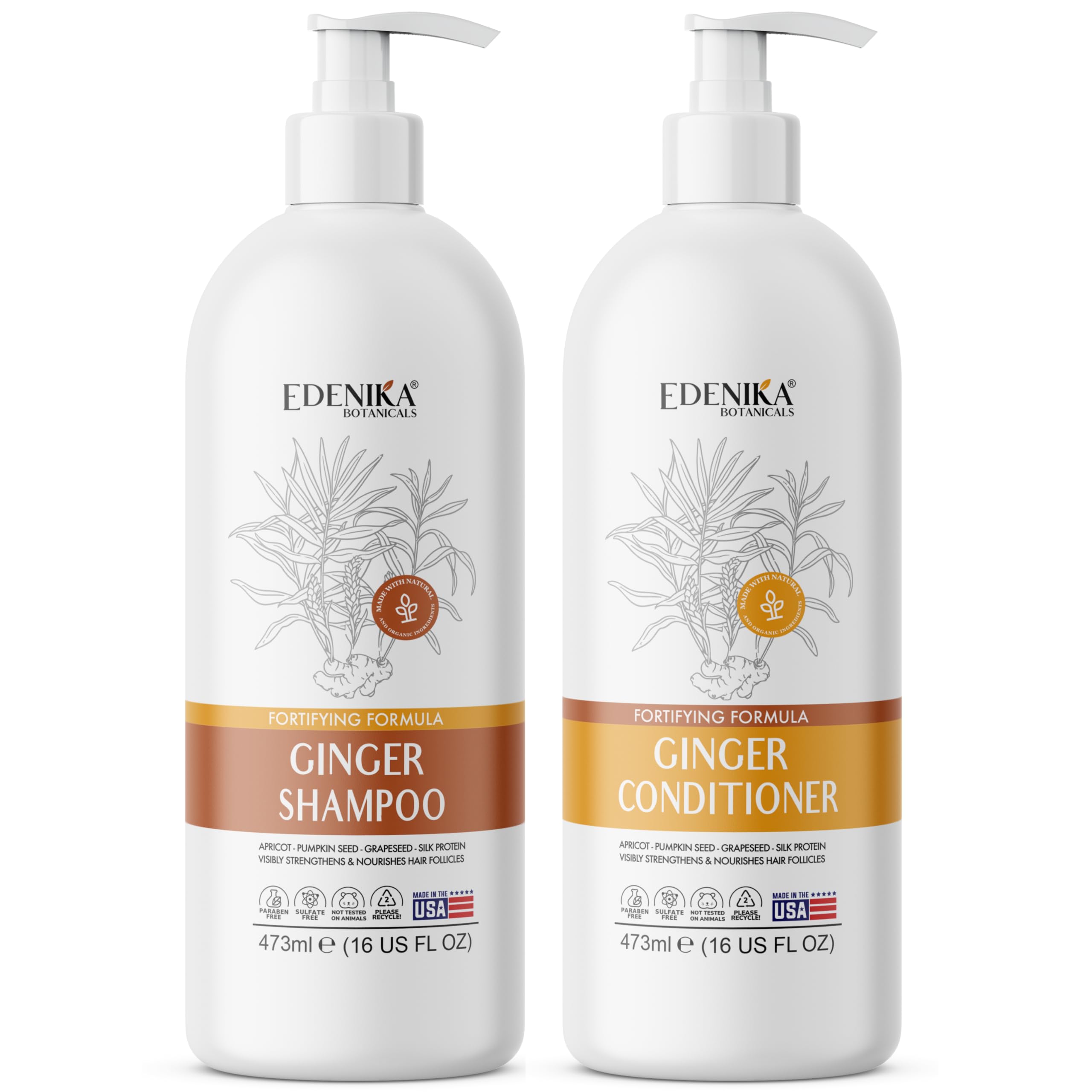 Amazon.com : Edenika Botanicals Ginger Shampoo and Conditioner Set ...