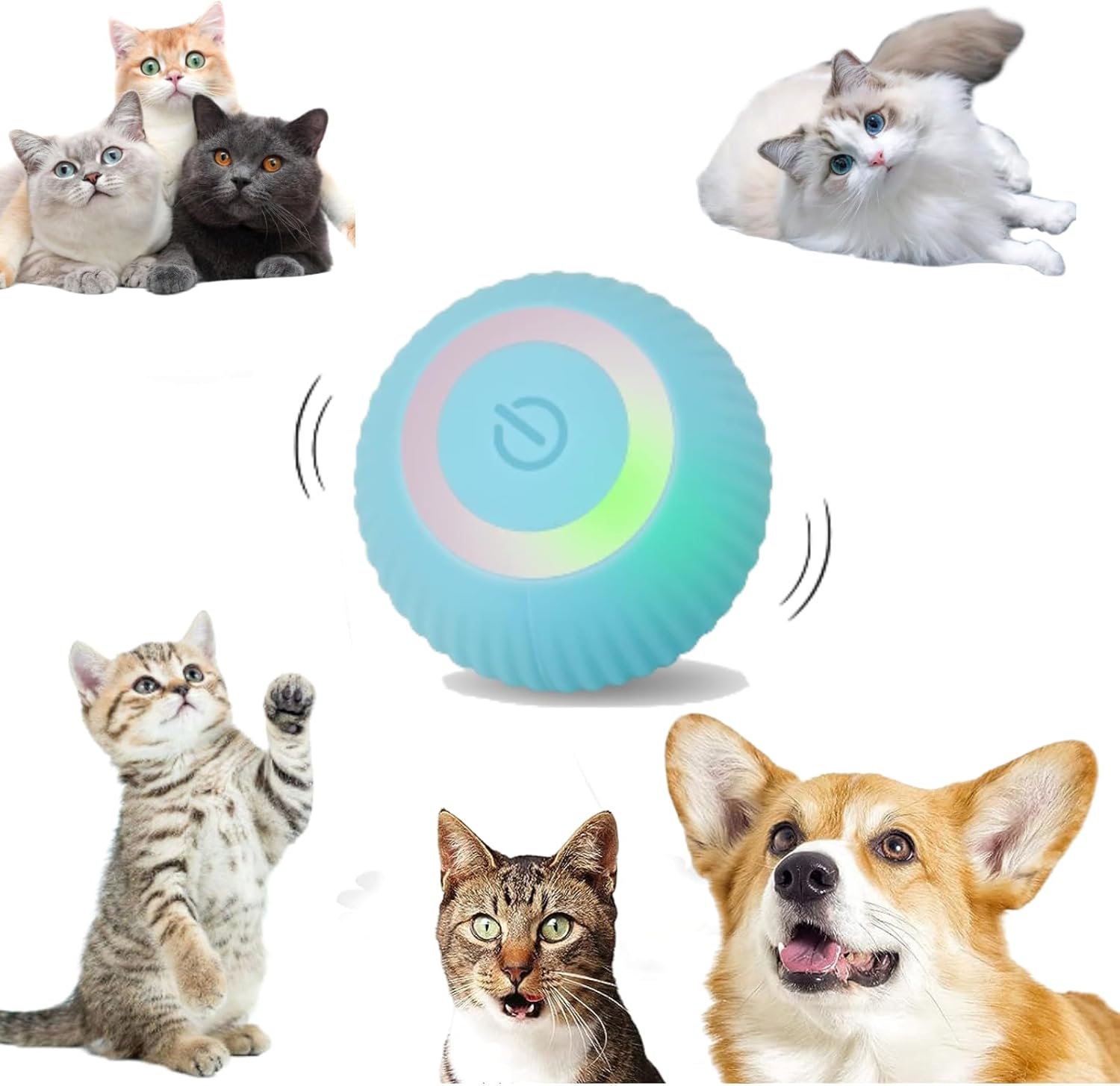 Amazon.com : SVIEILLES Smart Interactive Cats Toy, Wloom Power Ball 2.0 ...