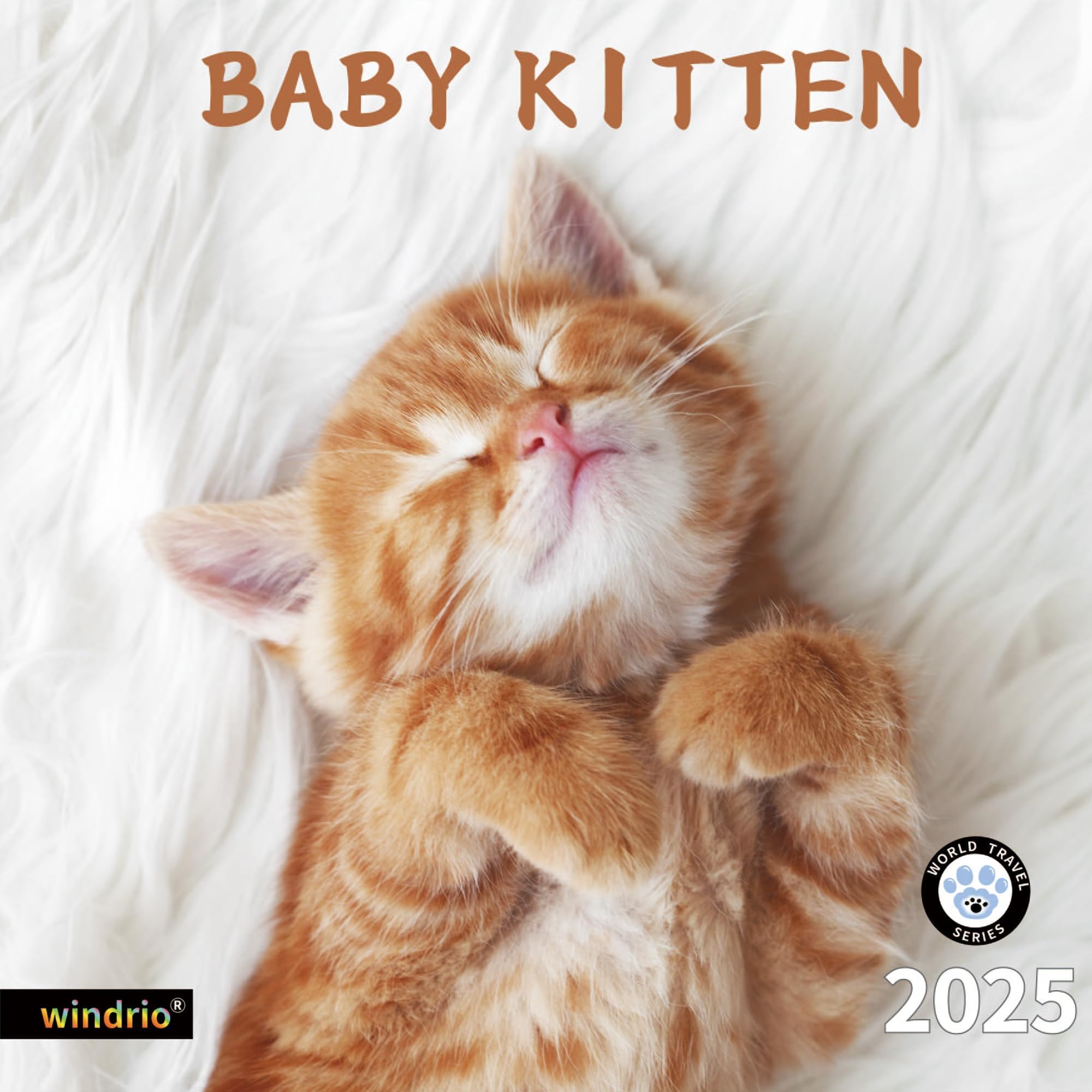 Snapklik.com : 2025 Wall Calendar,Calendar 2025, January 2025 ...