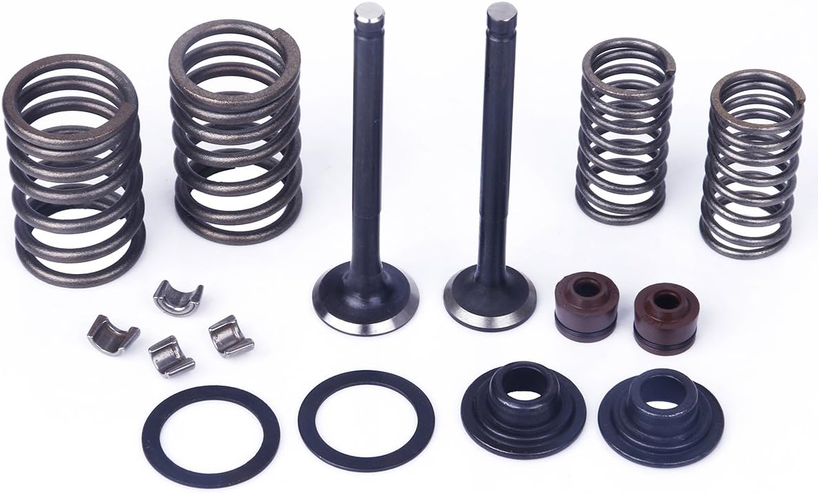 Amazon.com: Exhaust Intake Valve, Intake Exhaust Valve Seal Spring Kit ...