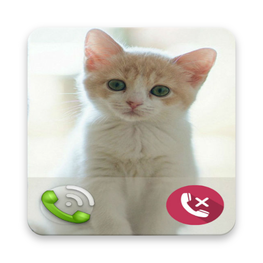 Fake Cat Call Prank - Fake Call from Cat Prank (Calling Prank from Cat ...