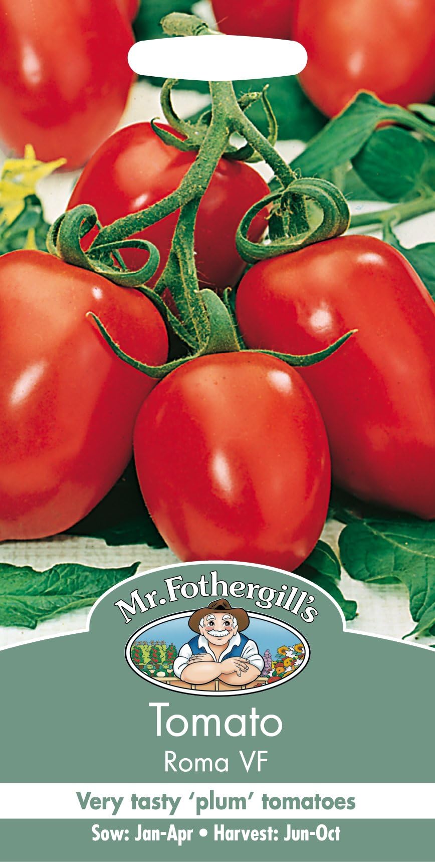 Mr Fothergill's 25503 Vegetable Seeds, Tomato Roma VF : Amazon.co.uk ...