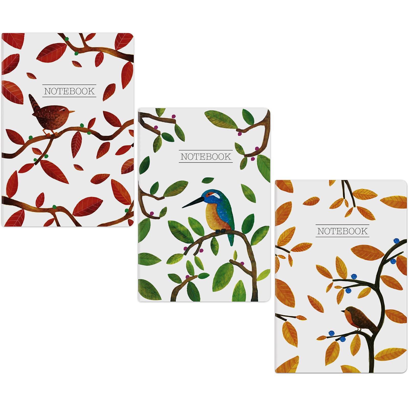 Free Printable Bird Watching Journal Pages - Ashley Yeo