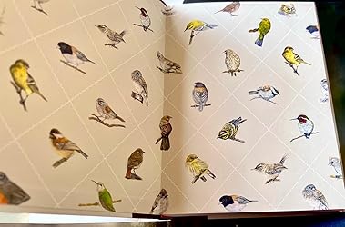 Amazon.com: The Backyard Bird Chronicles: 9780593536131: Tan, Amy ...