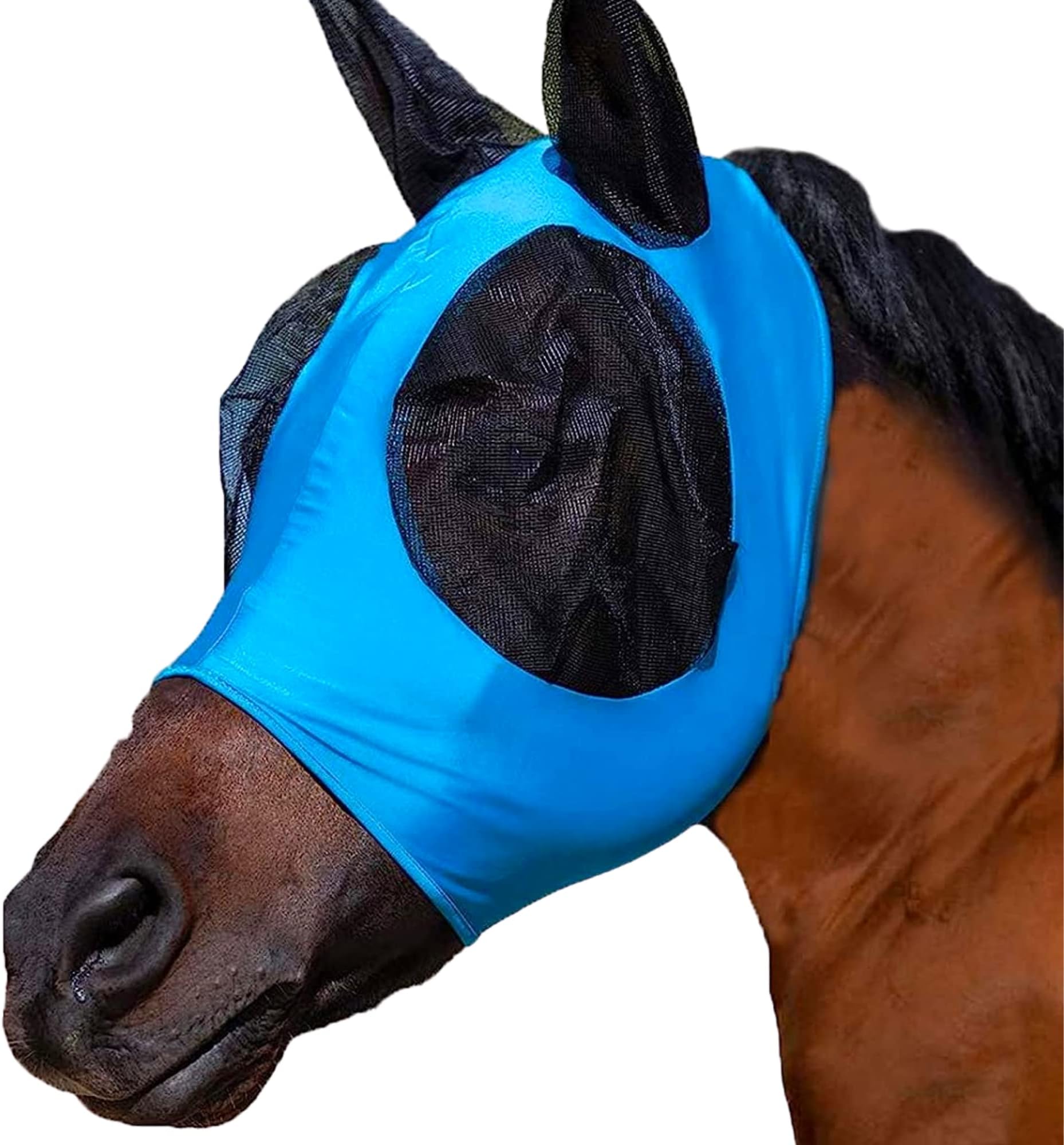 Amazon.com: Horse Fly Mask,Fly Masks for Horses with Ears, Comfortable ...