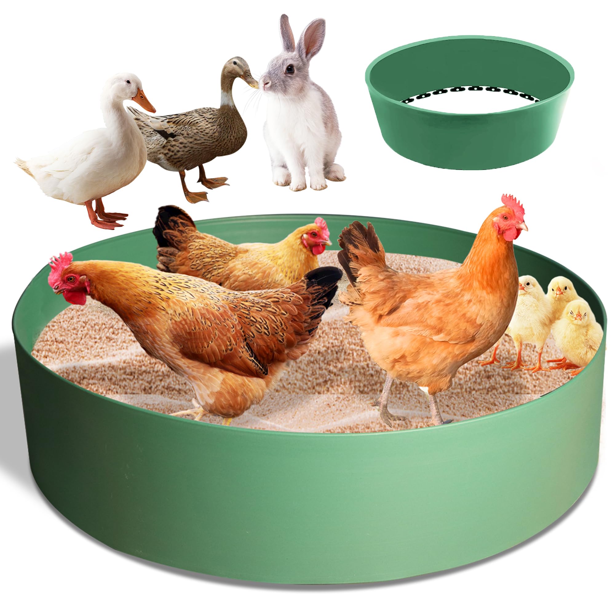 Amazon.com : Zeus & Ruta Adjustable Chicken Dust Bath Tub, Bottomless ...