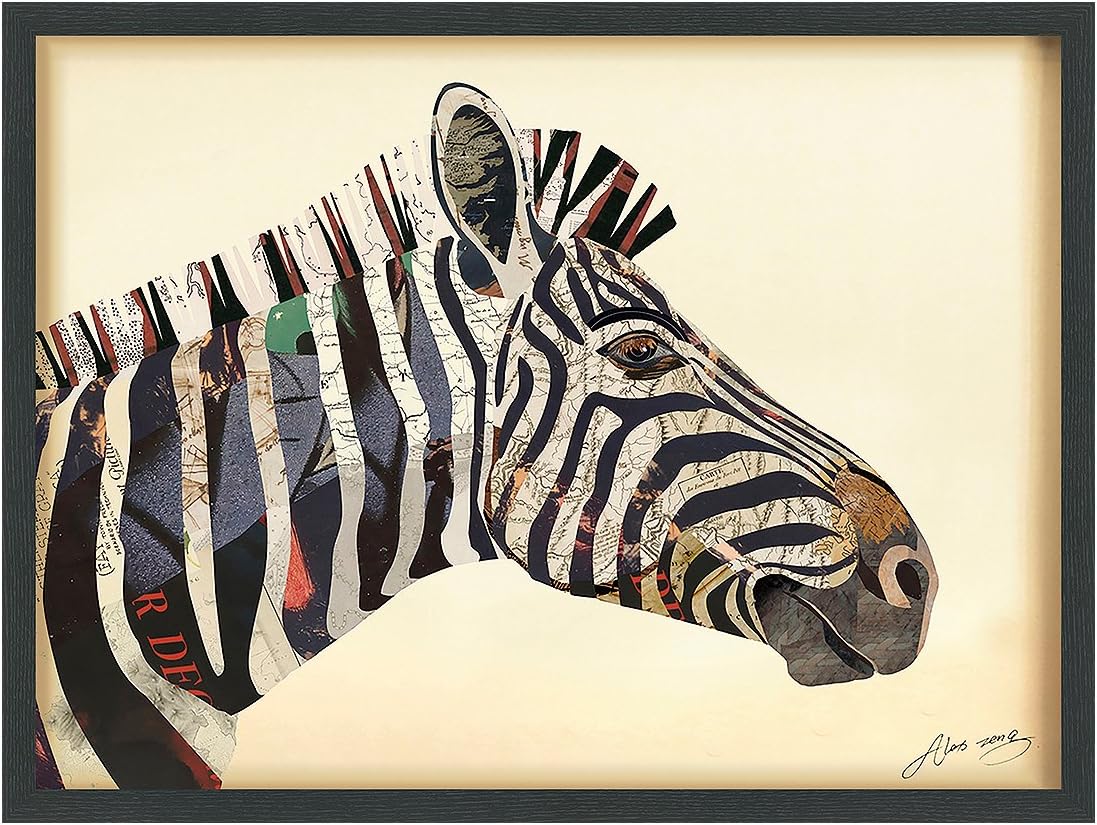Amazon.com: Empire Art Direct Zebra Dimensional Collage Handmade by ...
