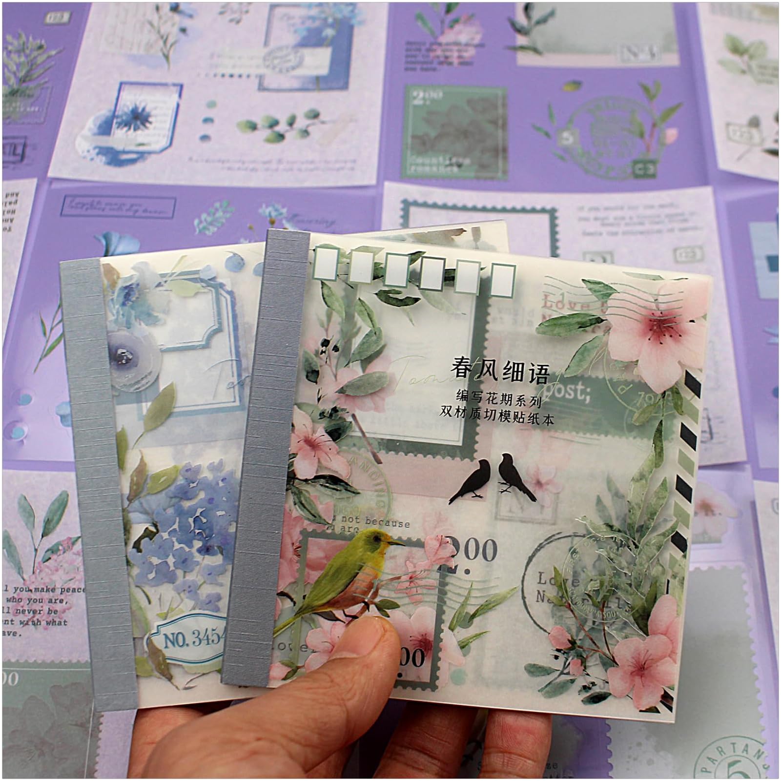 Amazon.com: Dwpetzo 40 Sheets Pre-Cut Washi Sticker Books for Adults ...