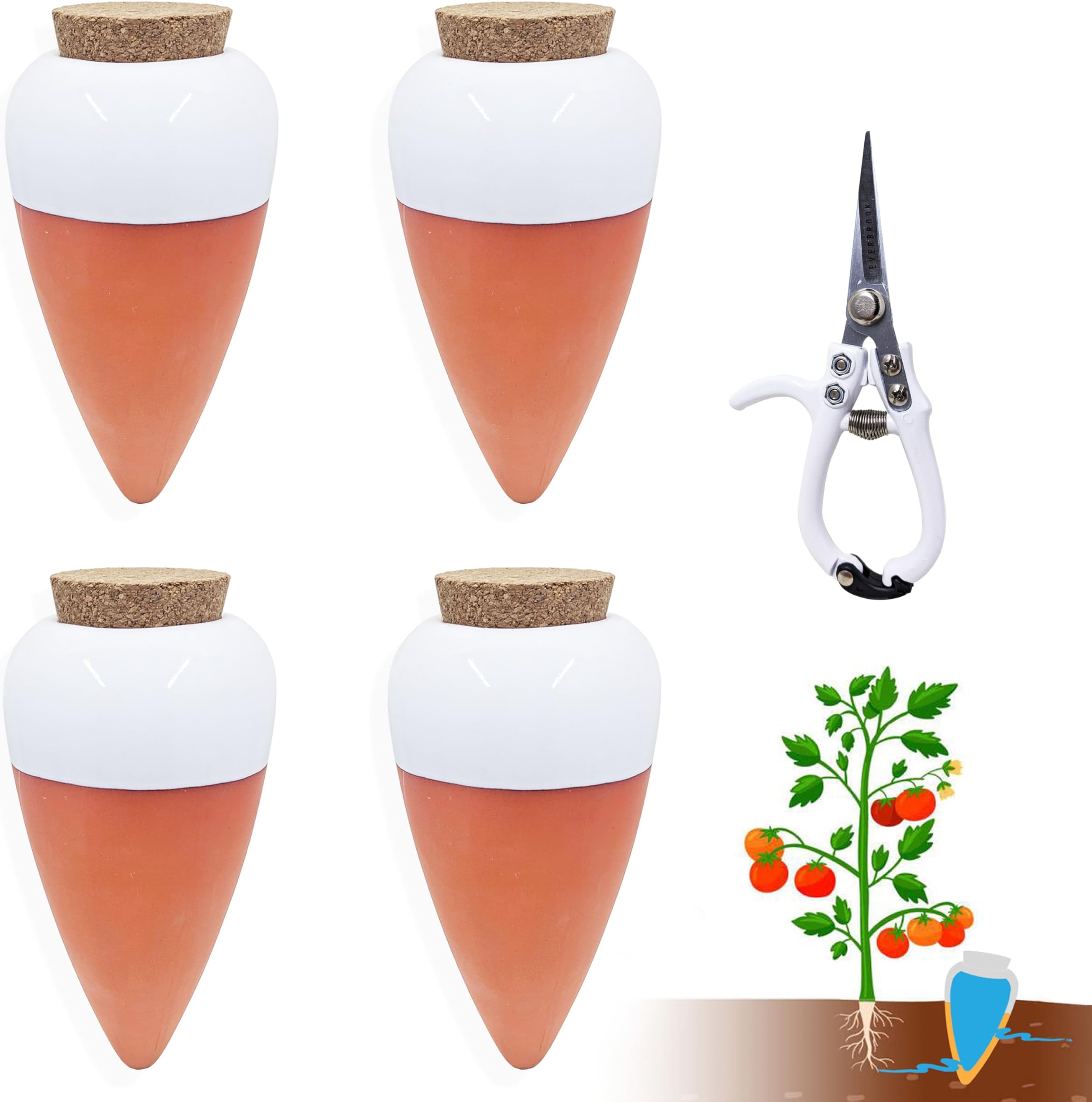 Amazon.com: Ollas Plant Watering Globes. 4 Pcs Self Watering Planter ...