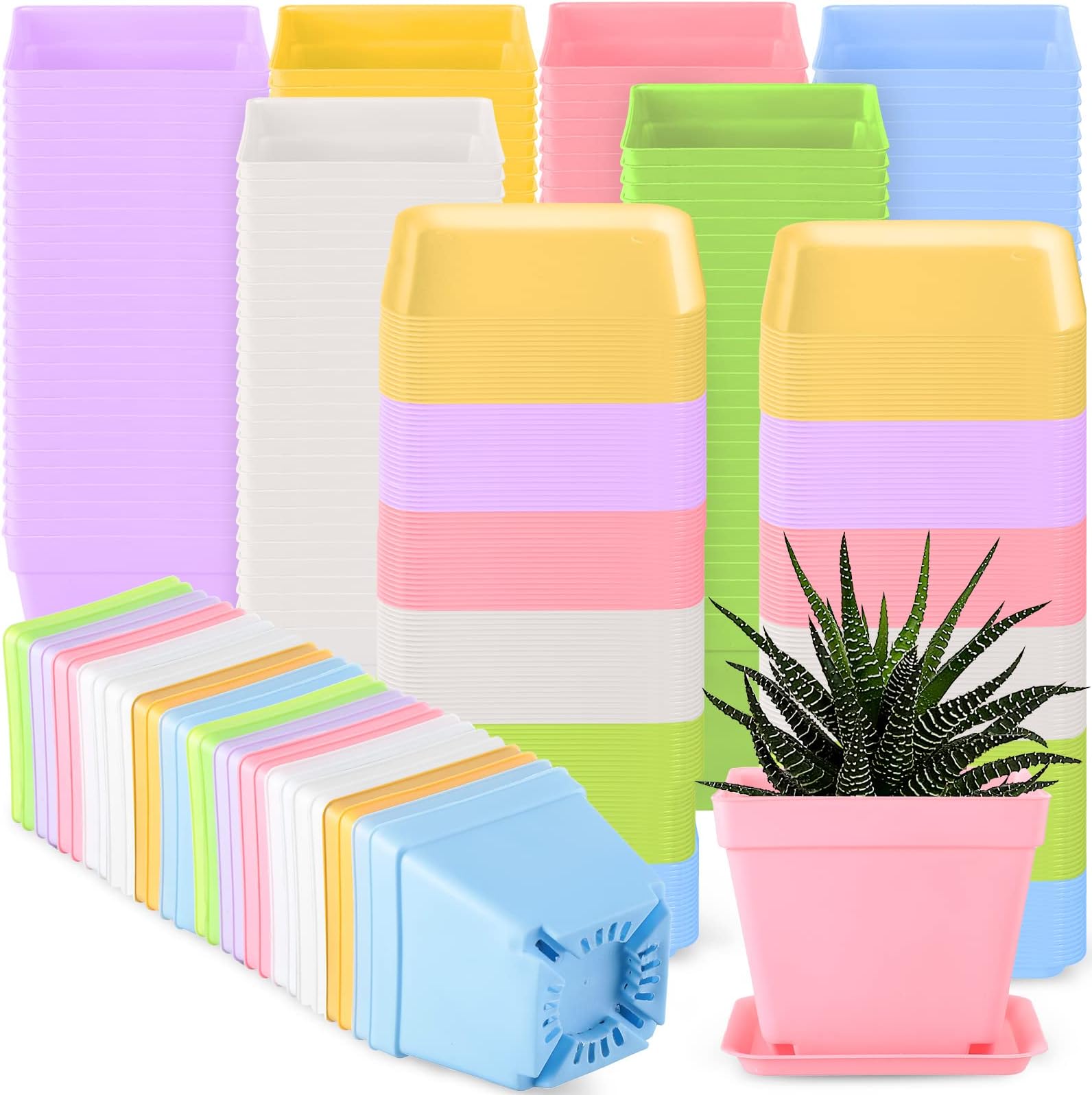 Amazon.com: Hahood 160 Pieces Square Flower Plant Pots 3 Inch Flower ...
