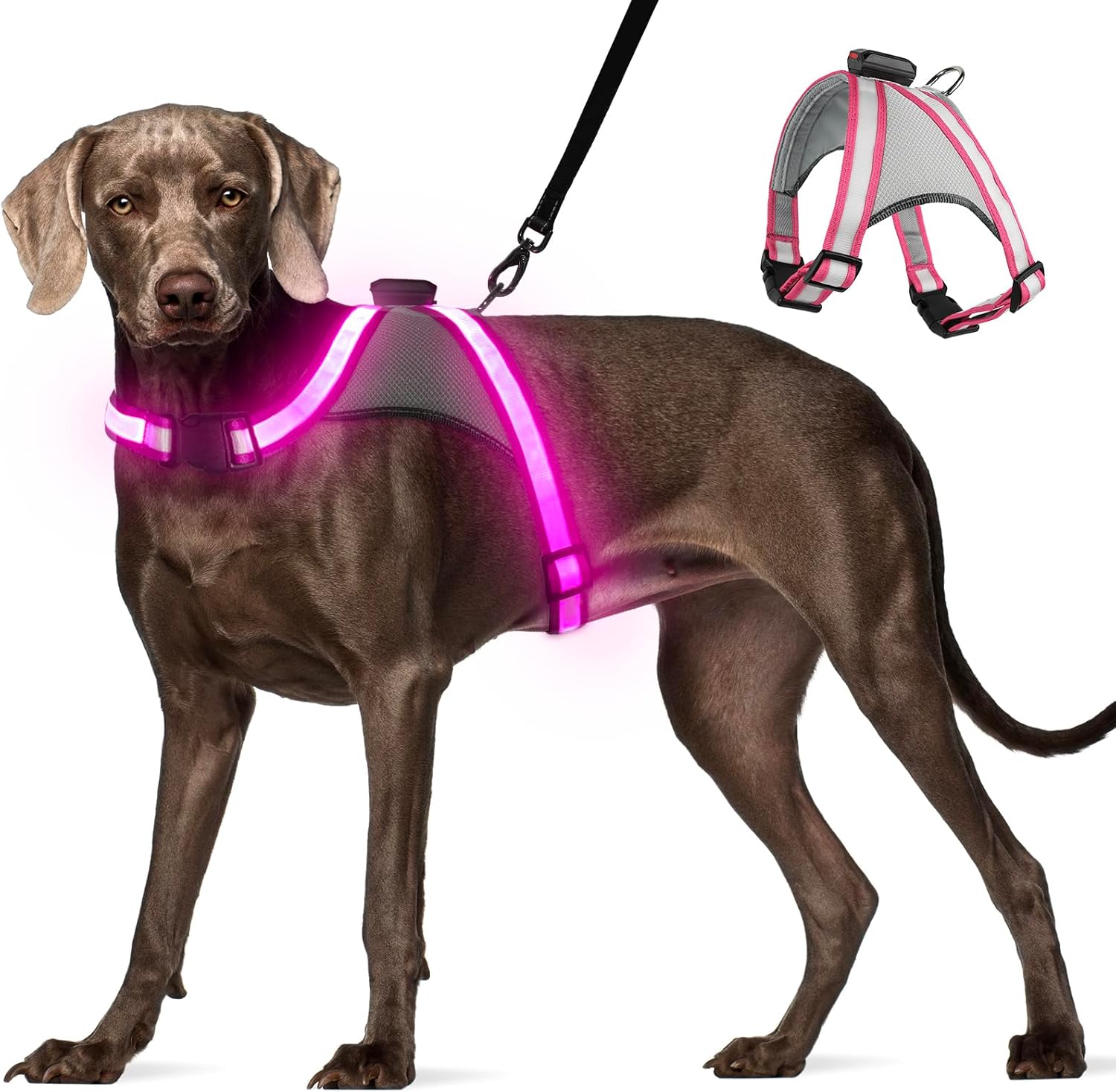 Amazon.com : Visinite LED Dog Harness, USB Rechargeable Light Up Dog ...