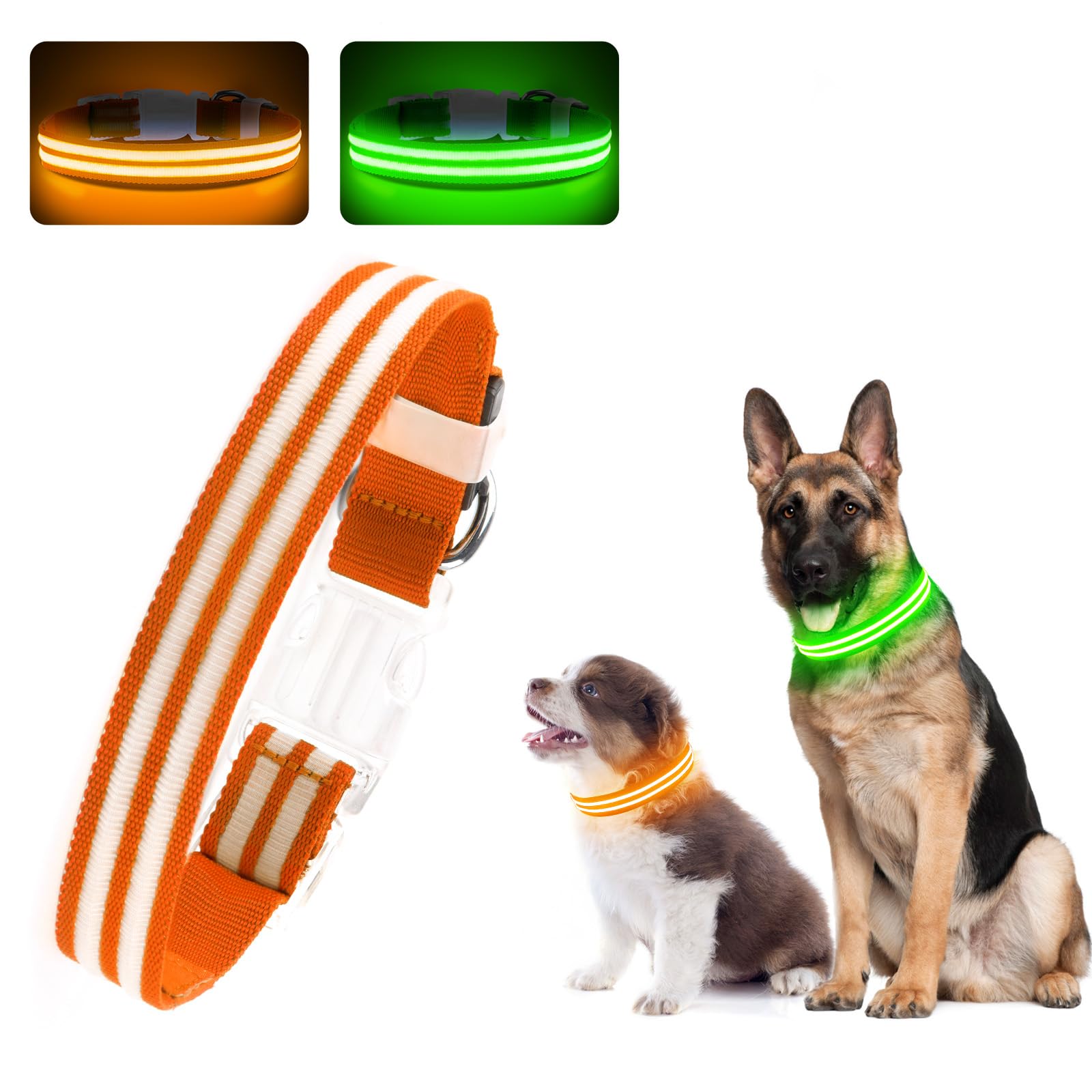 Amazon.com : LED Dog Collar, Light Up Dog Collar at Night, Lighted Dog ...