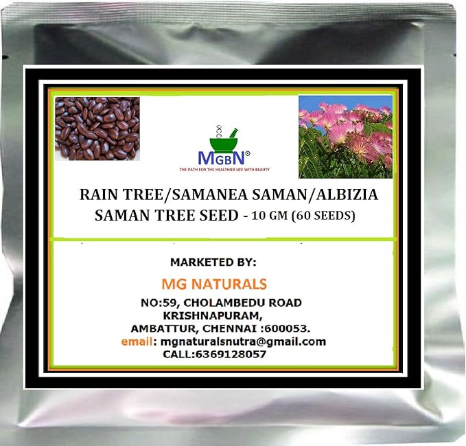 RAIN TREE/SAMANEA SAMAN/ALBIZIA SAMAN TREE SEED - 10 GM (60 SEEDS ...