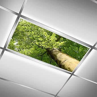 Nature 2ft x 4ft Drop Ceiling Fluorescent Decorative Ceiling Light ...