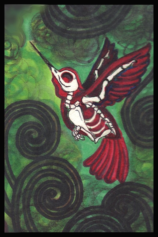 Watercolor Hummingbird Skeleton Bird Anatomy I