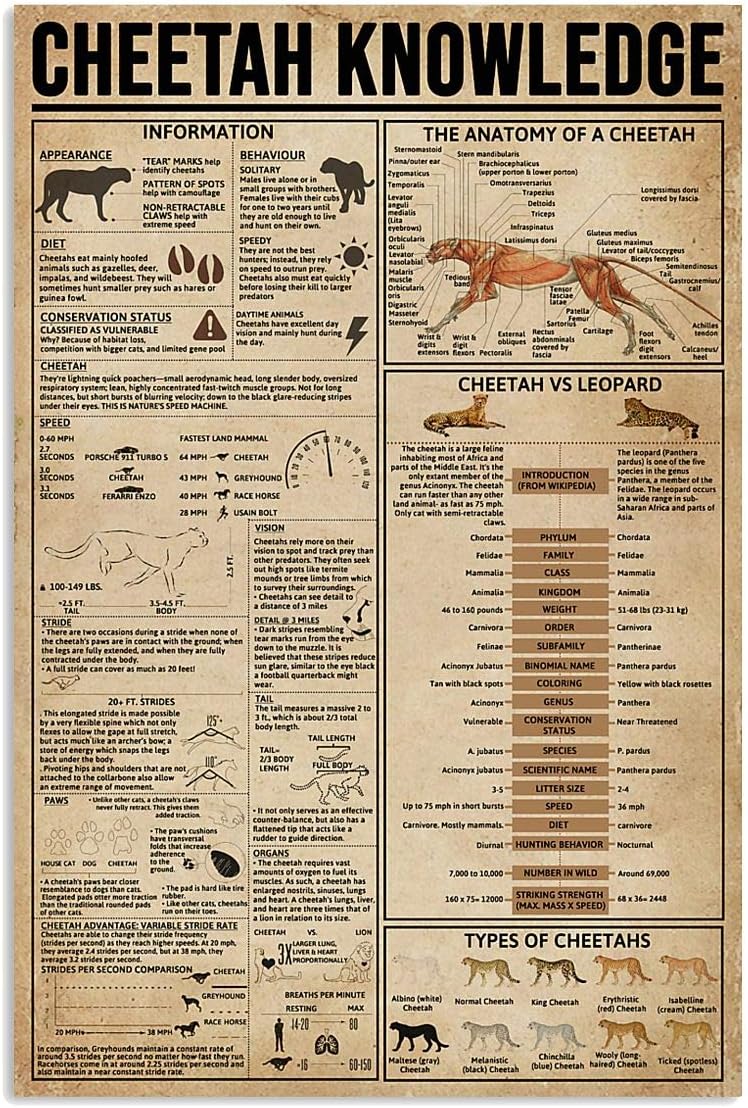 Amazon.com: Cheetah Knowledge Metal Tin Signs Cheetah Information Retro ...