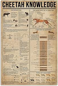 Amazon.com: Cheetah Knowledge Metal Tin Signs Cheetah Information Retro ...