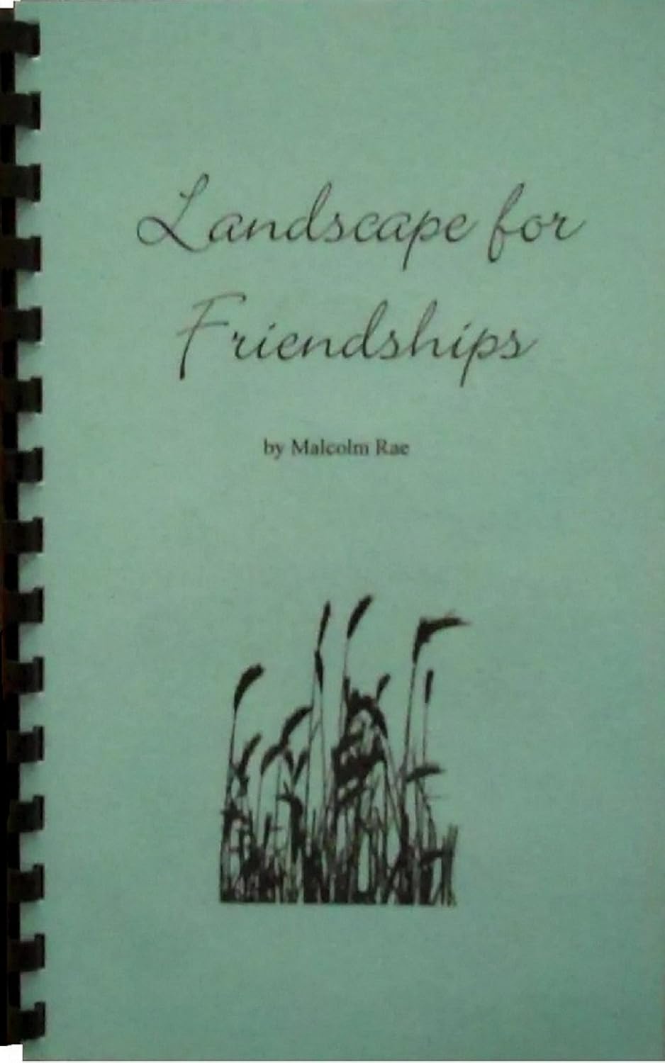 Amazon.com: Landscape for Friendships eBook : Rae, Malcolm: Kindle Store