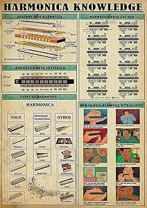 Amazon.com : Harmonica Knowledge Metal Tin Signs Anatomy Of A Harmonica Information Retro Poster ...